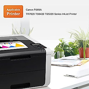 TESEN Remanufactured PG260XL Ink Cartridge Replacement for Canon PG-260 XL PG 260XL CL-261 XL Use with Canon PIXMA TS6420 TS5320 TR7020 Inkjet Printer (2 Pack, Black)