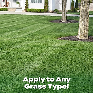 Scotts Liquid Turf Builder Lawn Food, 32 fl. oz.