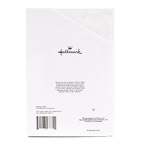 Hallmark Funny Boss's Day Card with Pop Up (Awesome Bosses)