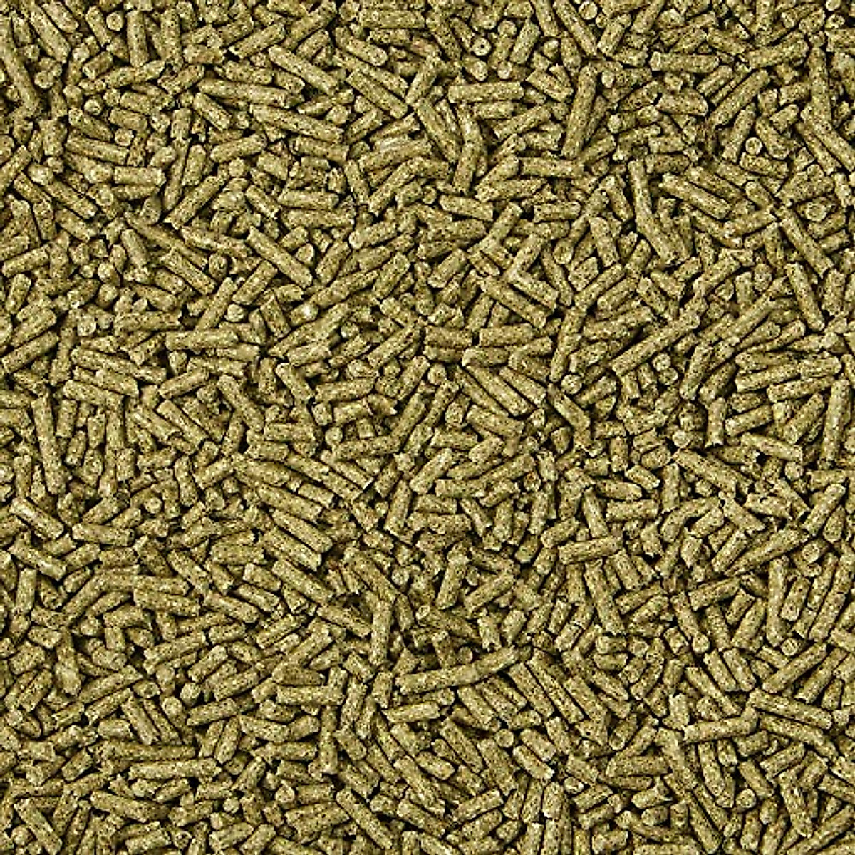 Kaytee Timothy Complete Pet Chinchilla Food, 3 Pound