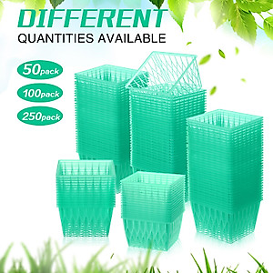 Yiyiring 100 Pcs Pint Size Plastic Berry Baskets Boxes Green Strawberry Basket with Open Weave Pattern Box Container for Farmer Market Party Christmas Grocery Stores