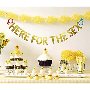 Here for The Sex Banner Gold Glitter Garland for Baby Shower Gender Reveal Party Supplies Decorations by Ucity