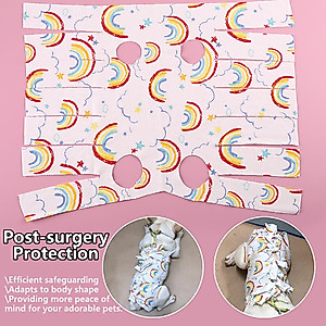 Breathable Cat Recovery Suit, Post-Surgery Onesie for Cats, E-Collar Alternative, Anti-Licking, Ideal for Abdominal Wounds, Skin Diseases & Neutering (Rainbow, L)