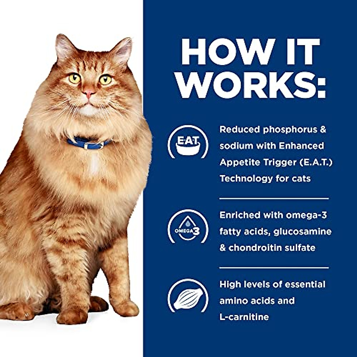 Hill's Prescription Diet k/d + j/d Kidney + Mobility Chicken Flavor Dry Cat Food, Veterinary Diet, 6.4 lb. Bag