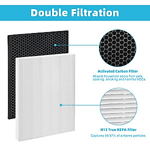 ThingRay HR900 Replacement Compatible with Winix HR900,H13 True HEPA & Activated Carbon