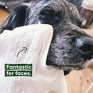 Beco Bamboo Dog Wipes, Thick Grooming Wipes for Easy Pet Cleanup, Home Compostable, 80 Count (Unscented)