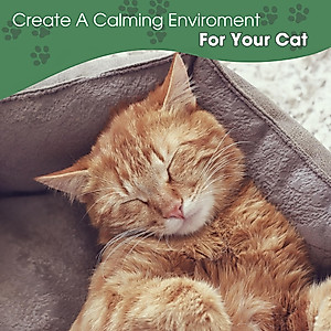 Daintry Cat Calming Pheromone Diffuser with.a Sunflower Smell Starter Kit: Reduces Multi-cat Tension, Conflict, Anxiety, and unwanted Behavior. Perfect for a Peaceful Environment.