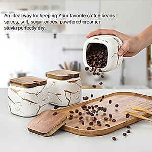 VETIN 3 Pcs Sugar Salt Container Set Containers for Sugar and Coffee Sugar Container Marble Jar Set Sugar Bowl Sugar Jar with Spoon and Lid