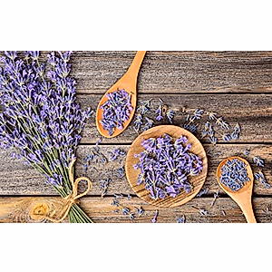 English "Vera" Lavender Seeds for Planting, 1000+ Seeds Per Packet, (Isla's Garden Seeds), Non GMO & Heirloom Seeds, Botanical Name: Lavandula angustifolia, Great Herb Garden Gift