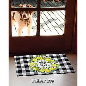 Toland Home Garden 800533 Lemon Wreath Summer Door Mat 18x30 Inch Sunshine Outdoor Doormat for Entryway Indoor Entrance