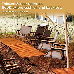 Lallisa 2 Pcs Camping Chair Ultralight Camp Chair, Thicken 600D Oxford Low Lawn Chairs for Concerts Light Portable Folding Beach Chair Supports 253 lbs Carbon Steel Armchairs for Hiking Fishing Picnic