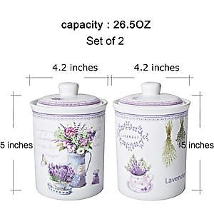 Xiteliy Ceramic Canister Set Tea Coffee Sugar Storage Pots Jars Kitchen Food Storage with Ceramic Lid Set of 2 (Purple, TL-XYC-J)