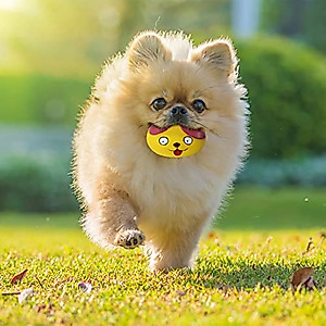 HDSX Squeaky Dog Toys Funny Animal Dog Balls for Puppy Small Pet Dogs 6 Pcs/Set (Cat)