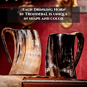Trondebal Viking Drinking Horn Mug, 15-20 Oz Natural Ox Horn Cup & Cofee Stein | Cool Unique Gift for Men and Women, Home Decor Accessories | Shot Glasses for Beer, Ale, Mead, Whiskey