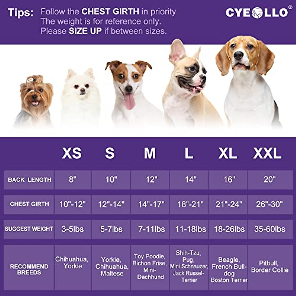 cyeollo Medium Dog Sweater Turtleneck Knitted Dog Sweaters Soft Knitwear Gradient Color Warm Winter Dog Clothes Pet Apparel for Dogs