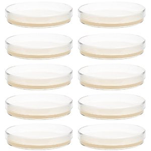 SOLUSTRE 10pcs Nutrient Agar Plate Petri Dish Petri Dish with Lid Agar Plates Culture Plate
