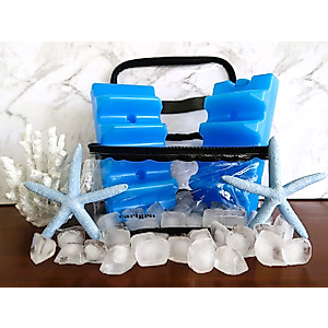 Ice Pack and Safety Case Set for Breastmilk Bags - carigro Brand - Insert for Breastmilk Cooler Bag (3 Items)