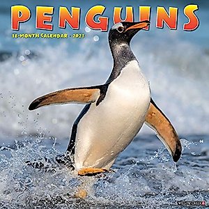 Penguins 2021 Wall Calendar