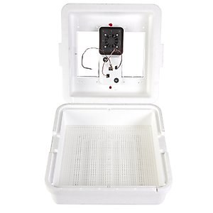 Little Giant® Digital Circulated Air Incubator | 41 Eggs | Egg Incubator with Fan, Temperature and Humidity Control | Hatching Eggs