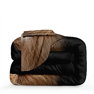 Bedorm Halloween Themed Bedding Sets Funny Pumpkin Comforter Set Cute Pumpkin Ghost Catoon Printed Boys Girls Halloween Bedroom Decor Queen Comforter Set