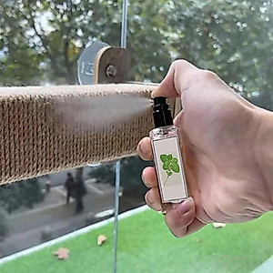 DENGWANG Herbal Cat Joy, Kitty Joy Herbal Cat Joy, Celery Pets Herbal Cat Joy, Kitty Joy Herbal Spray, Cat Stress and Anxiety Relief, Happy Living Space for Your Cat (3Pcs)