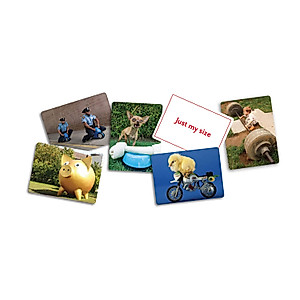 MindWare PicWits! Board Game