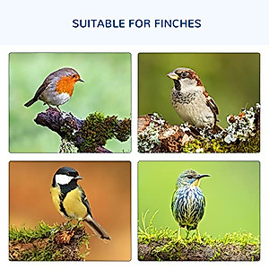 PawHut 64.5" Wooden Bird Cage Aviary, Flight Cage with 4 Perches, Nest and Slide-Out Tray for Indoor/Outdoor, Gray