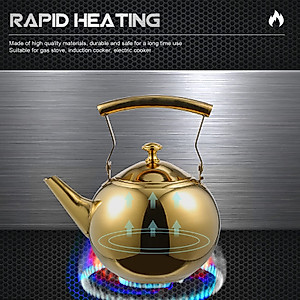 DOITOOL Heavy Duty Tea Kettle Stovetop Whistling Tea Kettle Stainless Steel Teapot for Stovetop with Handle and Infuser 1L Gold