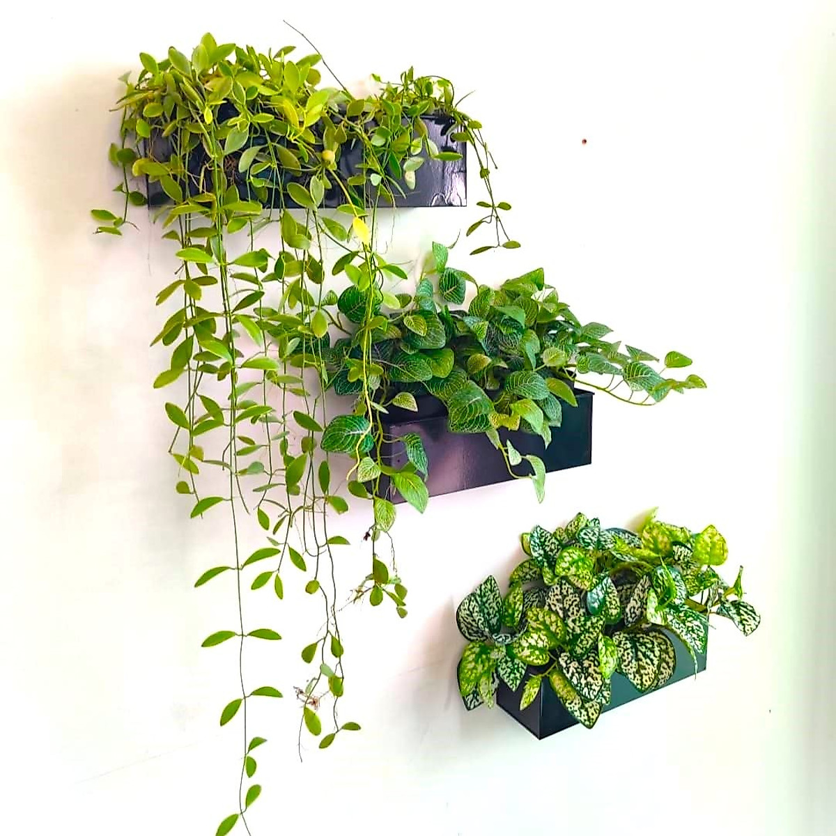 LaLaGreen Wall Planter (3 Pack, 12 Inch) Large Wall Mount Succulent Planters Black, Wall Hanging Rectangular Metal Flower Pot Window Planter Box Fence Railing Minimalist Floating Shelve Indoor Outdoor