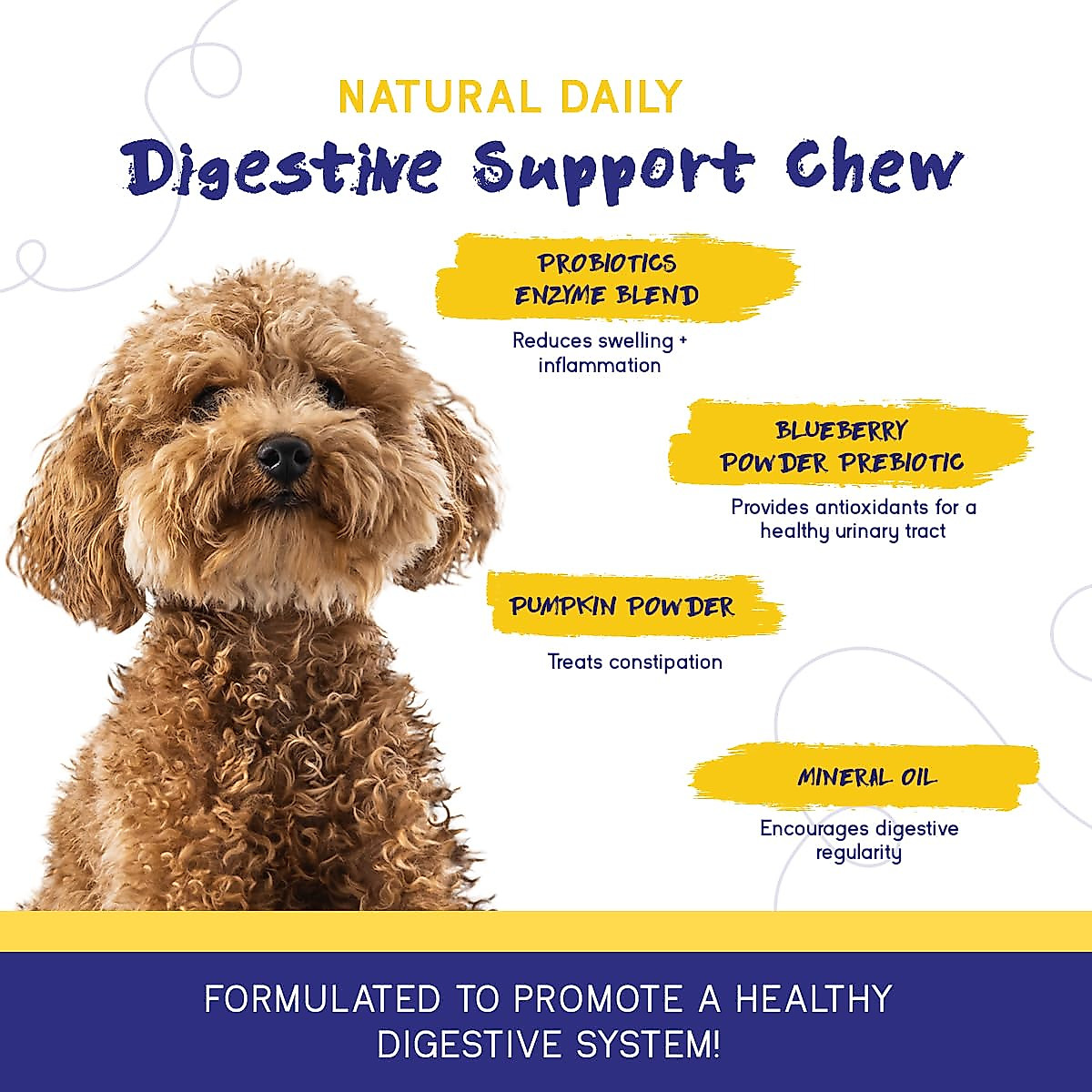 PupGrade 2-Pack Skin & Coat and Digestive Chews for Dogs - Coat Care & Allergy Defense Supplement with Natural Fish Oils - Prebiotic and Probiotic Supplement with Enzyme Blend - 120 Chews