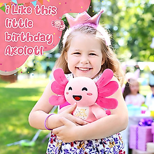 HyDren 10 Inch Happy Plushy Birthday Plush Pink Axolotl Plush Soft Cute Stuffed Animal Plush Pillow Kawaii Birthday Gifts for Kids Girls Party Favor Bedroom Home Decor