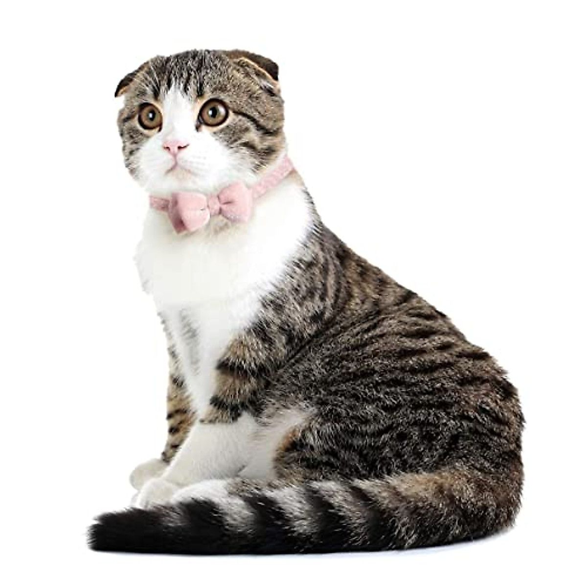 Cat Collar Breakaway with Bowtie Bell, Pink Bling Kitten Collar with Removable Cat Bow Tie Collar for Kitty Cat (7.4-10.8 inch)