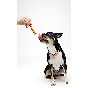 Hartz Oinkies Rawhide-Free Chicken-Wrapped Lasting Chew Bone Dog Treats, 12 Count, Highly Digestible, No Artificial Flavors or Colors