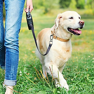 4Pcs Metal Carabiner Clip Keyring Keychain Key Ring Chain Holder for Car Keys/Purse- Silver Keychain Hook Organizer