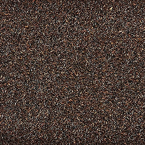 Kaytee Nyjer Wild Bird Food Seed, 3 Pound