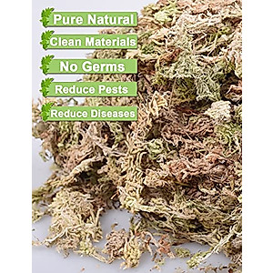 150 Grams Natural Sphagnum Moss Orchid Potting Mix, Organic Carnivorous Dried Peat Moss, Plant Supplies for Indoor Potting Soil, Perlite Blend, Reptile Bedding 3 Quart Sized Bag(Appx.5oz) by Giftape