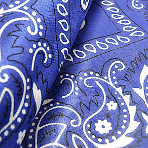 Arctic Fish Red Bandanas Face Mask For Men Women 8 Pack Cotton Multi-function Face Hair Headband (18PCS)