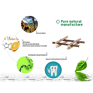 CXP Good Goods Cat Catnip Stick,Silver Vine for Teeth Grinding Chew Toy (26 Pieces)