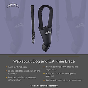 WALKABOUT Knee Brace (Small Left (7-9")