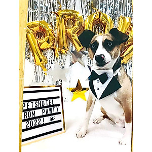 Bow Tie Dog Collar, iToolai Adjustable Collar Wedding Bandana for Small Medium Large Dog Boy(Black Strips, Large)