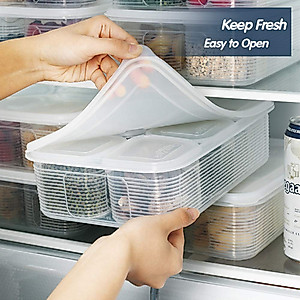 Sel natural Food Storage Containers with Lids Airtight,Plastic Reusable Fresh Produce Fruit Storage Organizer Storage Bin with 6 detachable small boxes for Storing Fish, Meat, Vegetables