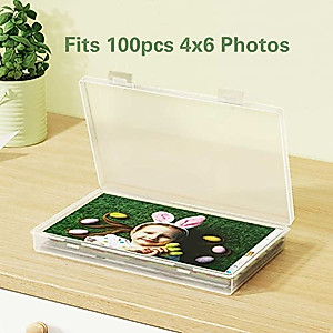 Zarler Photo Storage Box 4x6 Picture Boxes, 18 Inner Seed Organizer Cases with Handle, Photo Storage Container Photo Keeper with Provided Sticker Labels (Rainbow)