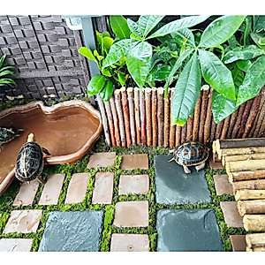 INOSCIND 15.7“ × 11.8" Reptile Basking Platform,Slate for Tortoise,Turtle Feeding Slate,Habitat Decor Accessories Basking Rocks for Bearded Dragons Chameleon Snake Frog Lizard Gecko Bowl