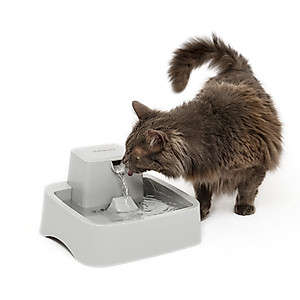 PetSafe Oasys 1/2 Gallon (64 Ounce) Small Pet Fountain - Small Dog and Cat Water Fountain - Dishwasher Safe Filtered Water Dispenser with Flow Control - Easy to Clean - Filters Included
