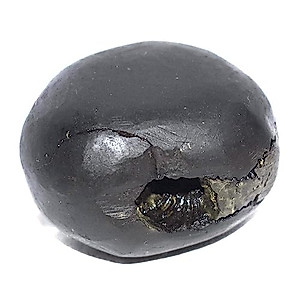 Rudrakshguru Laxmi Narsimha Shaligram