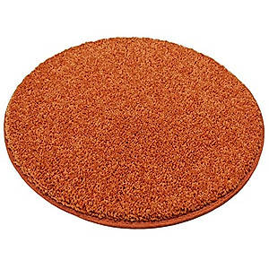 12 Rainbow Kids Crazy Carpet Circle Seats 18” Round Soft Warm Floor Mat - Cushions | Classroom, Story Time, Group Activity, Time-Out Spot Marker and Fun. Home Bedroom & Play Areas - USA Made