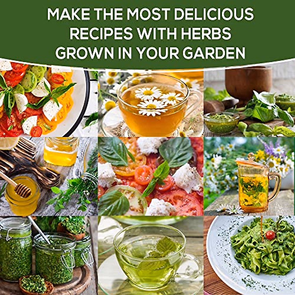 Medicinal and Tea Herb Seeds Collection - Over 4,500 Heirloom and Non GMO Garden Seeds for Planting Indoor, Outdoor & Hydroponic - Includes Basil, Lemon Balm, Chamomile, Lavender, and More