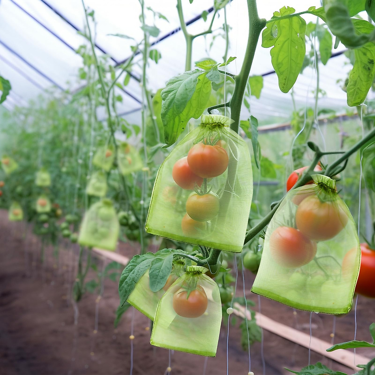 50 PCS 6X9 inches Fruit Protection Bags,Fruit Bags for Fruit Trees,Fruit Bags Protection,Green Netting Fruit Cover Bags Drawstring Mesh Fruit Protectors Pest Barrier for Fruit Trees Veggies Garden
