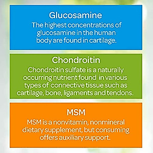 Puritan's Pride Triple Strength Glucosamine, Chondroitin & Msm Joint Soother, 360 Count (Pack of 2), Total 720 Count