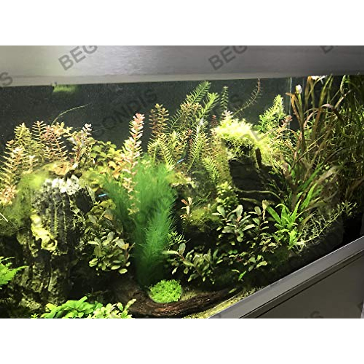 BEGONDIS Aquarium Decorations 3Pcs Fish Tank Artificial Green Water Plants Made of Silk Fabrics Plastic